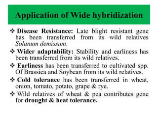 Distant hybridization - Copy.pptx