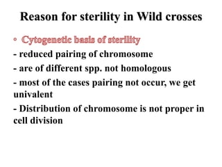 Distant hybridization - Copy.pptx