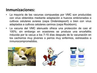 Distemper | PPTX