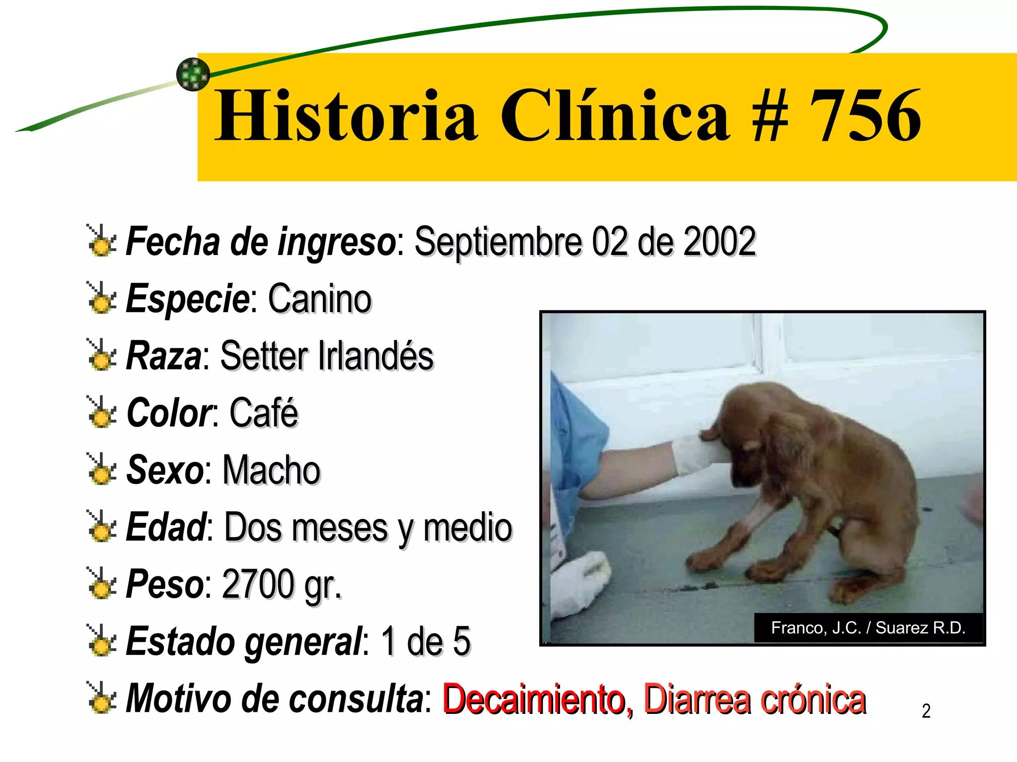 Distemper Canino | PPS