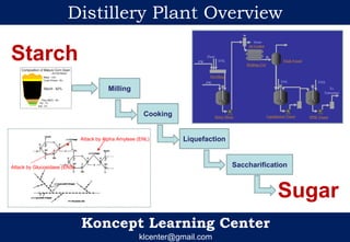 Distillery plant overview | PPTX