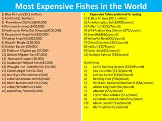 Distinction in Fishes by B.pptx