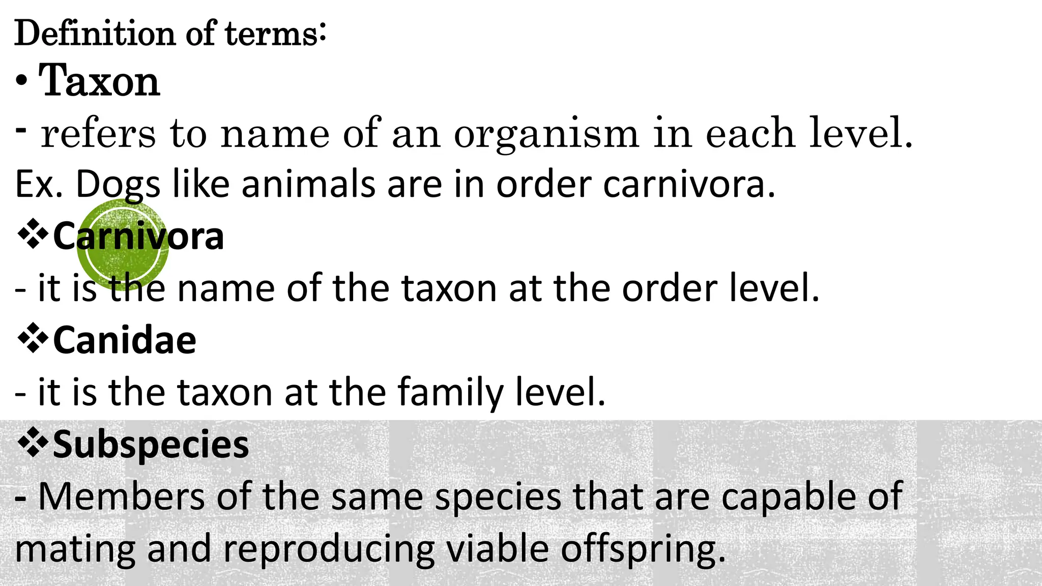 Distinctive Characteristics of taxon.pptx