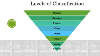 Distinctive Characteristics of taxon.pptx | Biological Sciences | Science