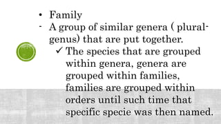 Distinctive Characteristics of taxon.pptx