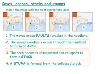Distinctive Coastal Erosional Landforms | PPT | Geology | Science