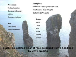 Distinctive Coastal Erosional Landforms | PPT | Geology | Science