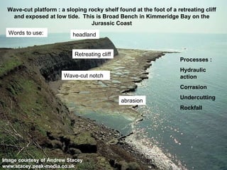 Distinctive Coastal Erosional Landforms | PPT | Geology | Science