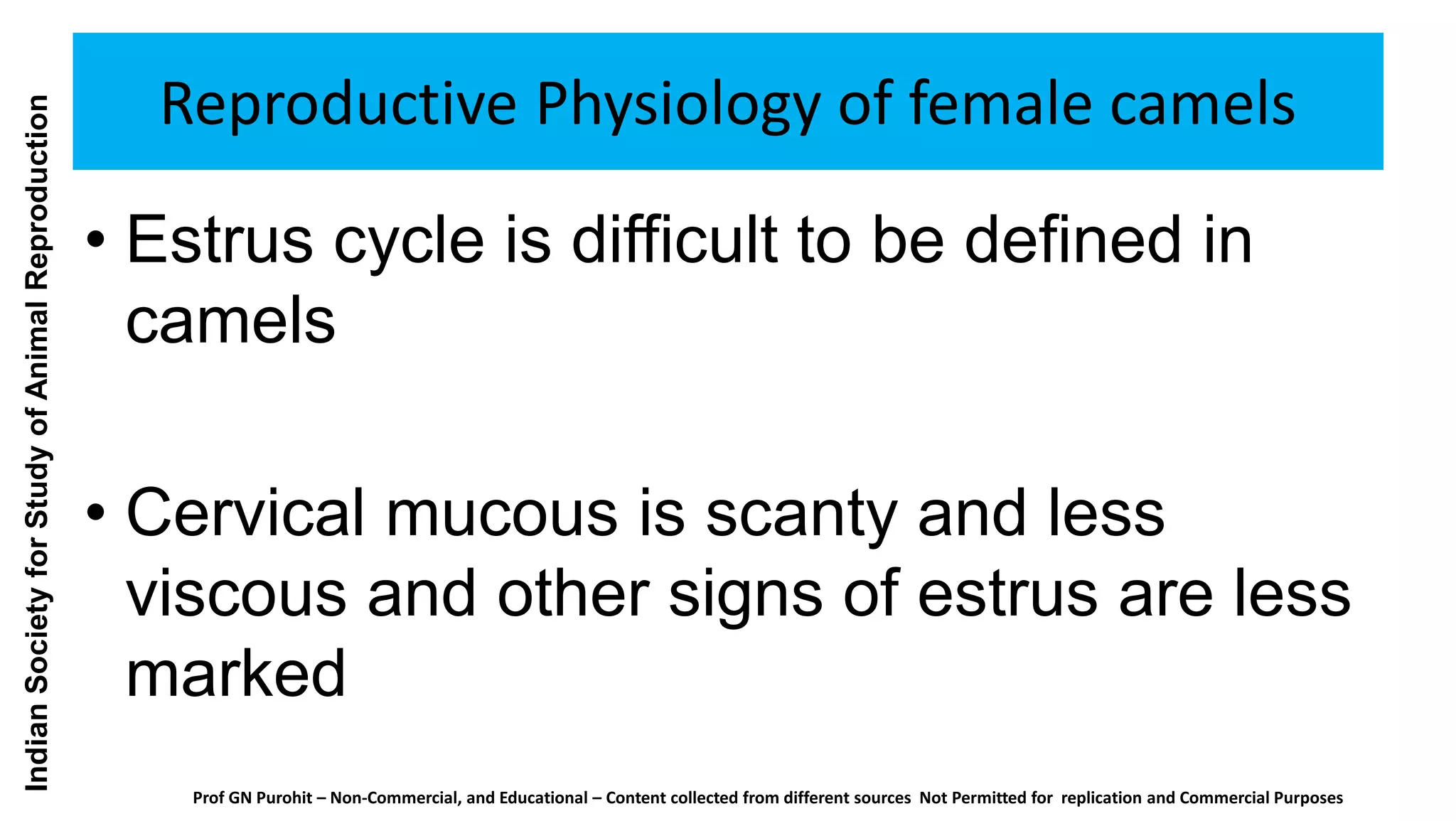 Distinctive features of camel reproduction | PDF
