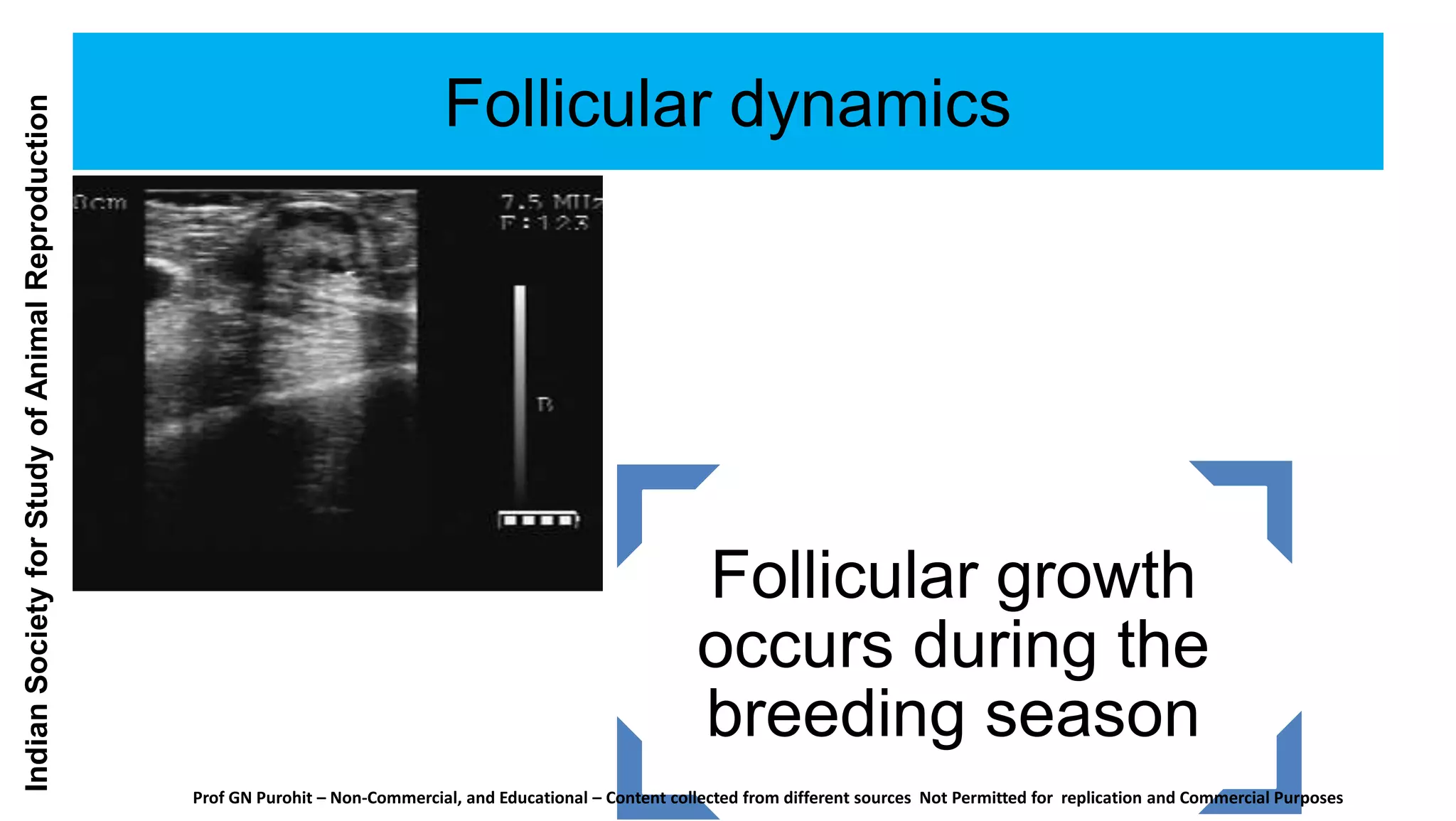 Distinctive features of camel reproduction | PDF