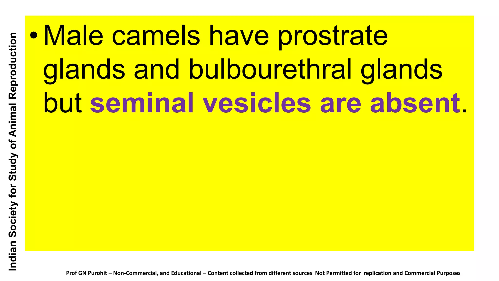 Distinctive features of camel reproduction | PDF