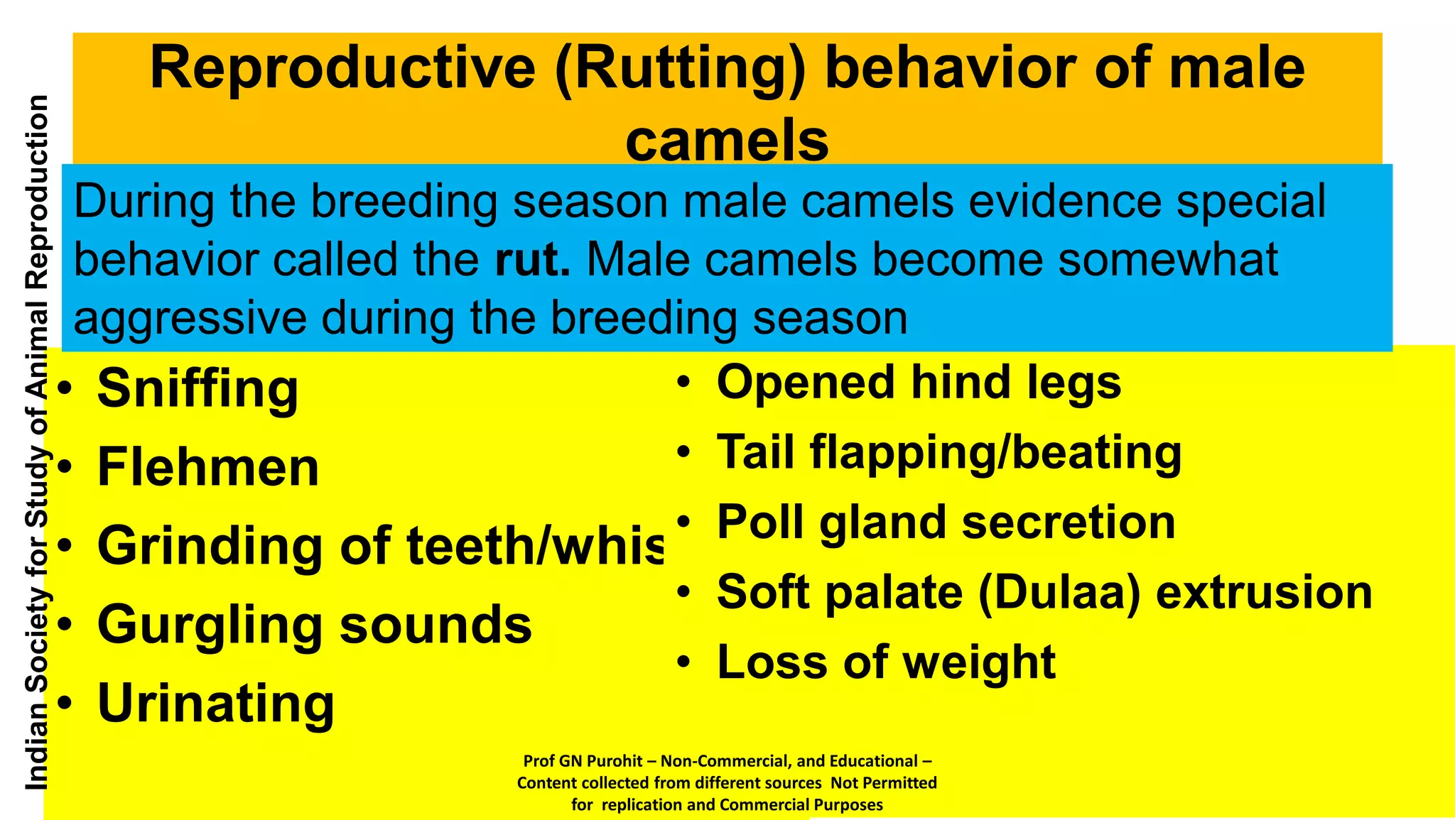 Distinctive features of camel reproduction | PDF