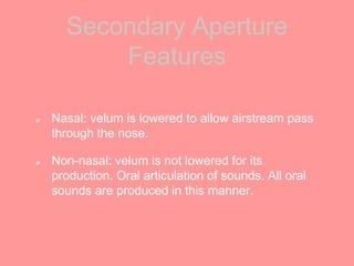 Distinctive features of english phonemes | PPTX