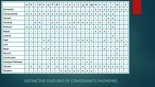 Distinctive Features of English Phonemes and Natural Classes.pptx
