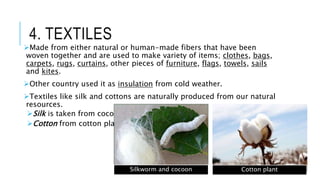 Distinguishing between useful and harmful materials | PPTX