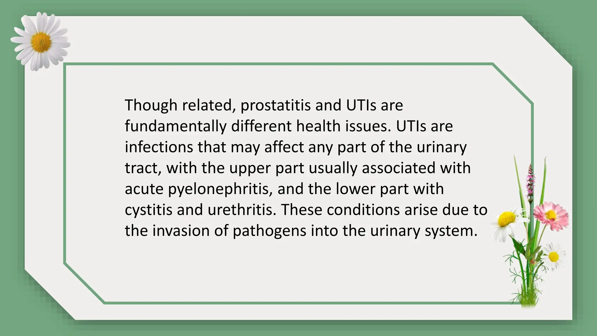 Distinguishing Prostatitis from Urinary Tract Infections | PPTX