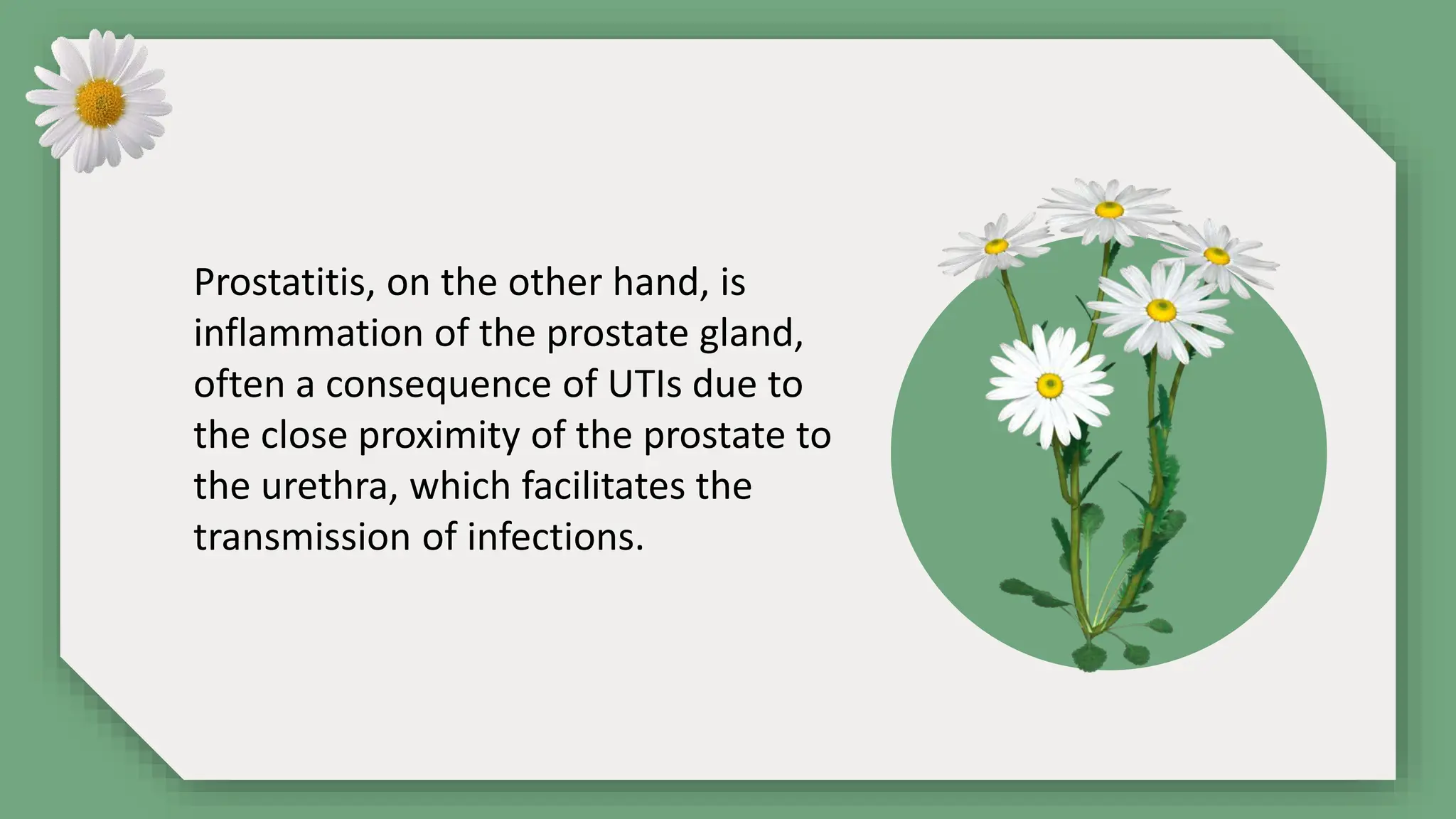 Distinguishing Prostatitis from Urinary Tract Infections | PPT