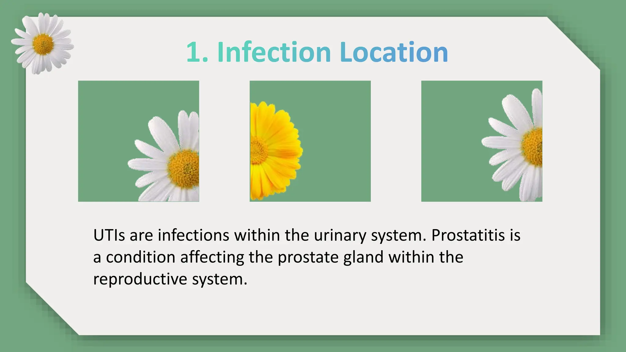 Distinguishing Prostatitis from Urinary Tract Infections | PPTX