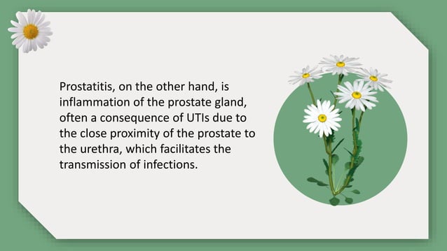 Distinguishing Prostatitis from Urinary Tract Infections | PPTX