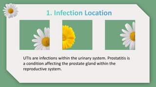 Distinguishing Prostatitis from Urinary Tract Infections | PPTX