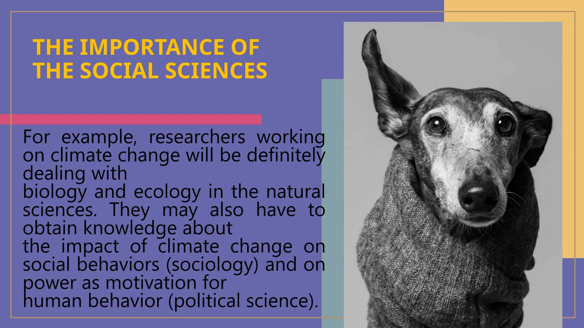Distinguish Social and Natural Sciences, and Humanities.pptx