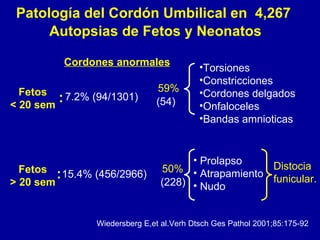 Distocia funicular | PPT