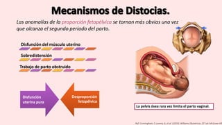 Distocias | PPTX