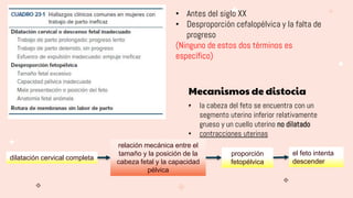 Distocias.pptx