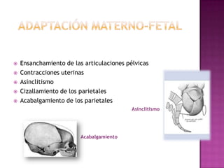 Distocias del parto | PPTX