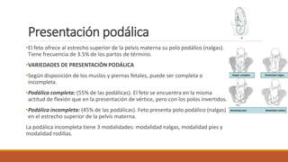 Distocias y Parto Operatorio | PPTX