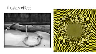 distortion in perception.pptx