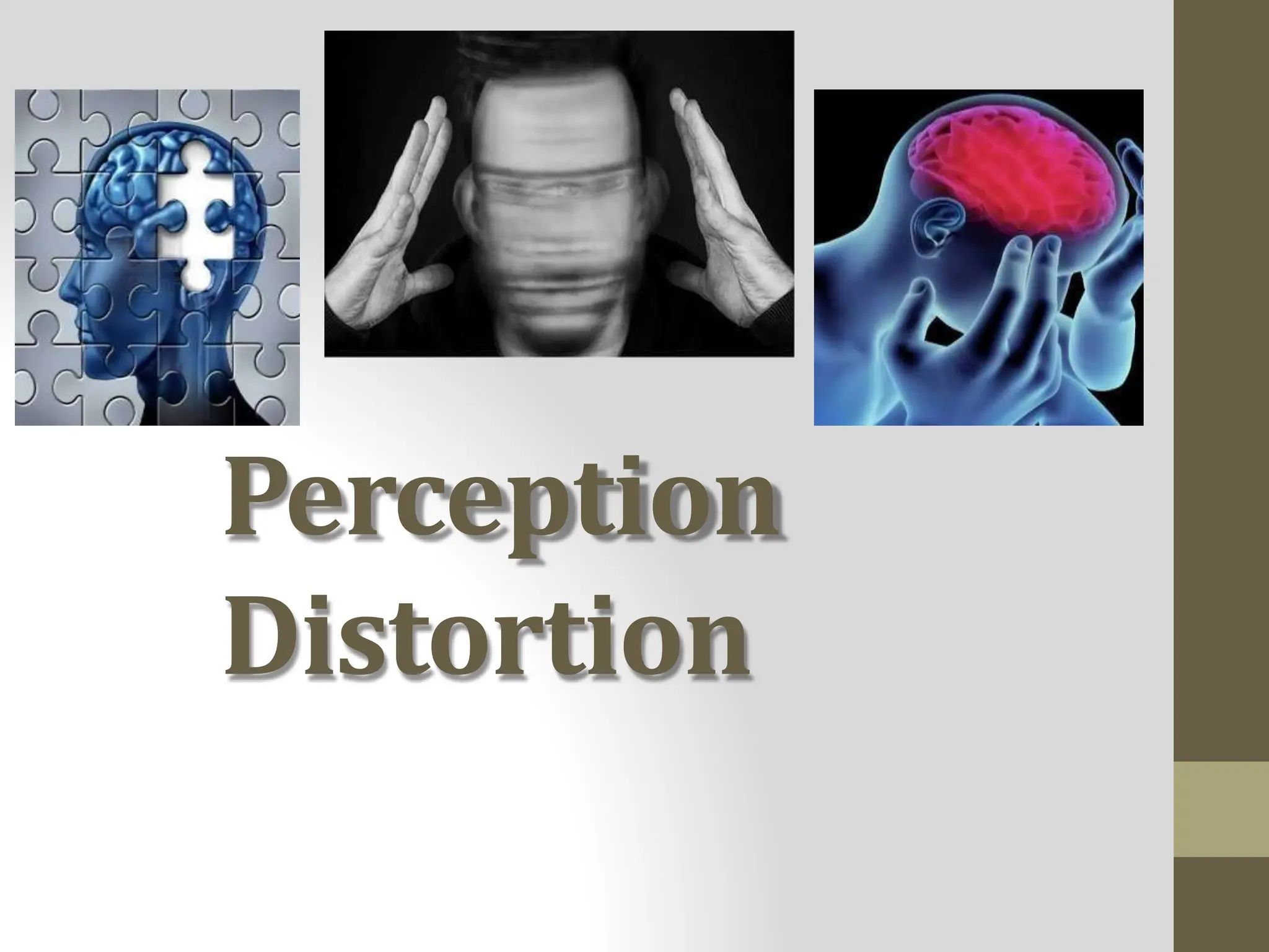 Distortion in perception in organisational behaviour | PPTX