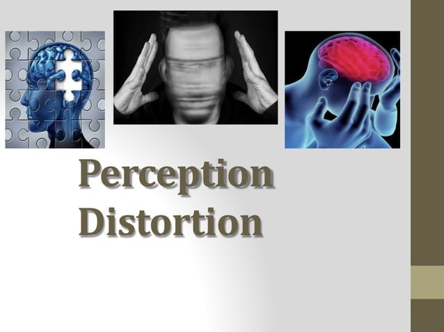 Distortion in perception in organisational behaviour | PPTX | Medical ...
