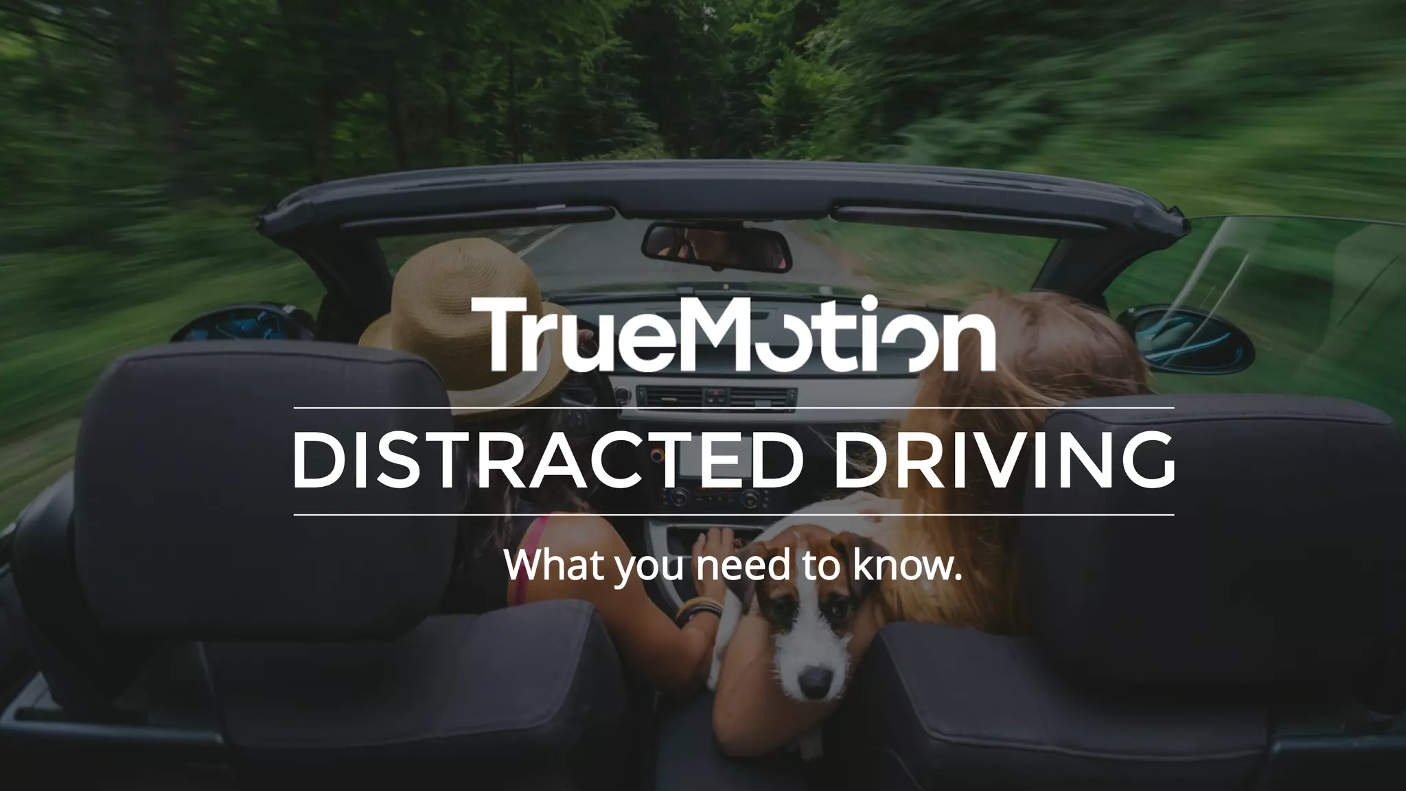 The Facts About Distracted Driving | PPT