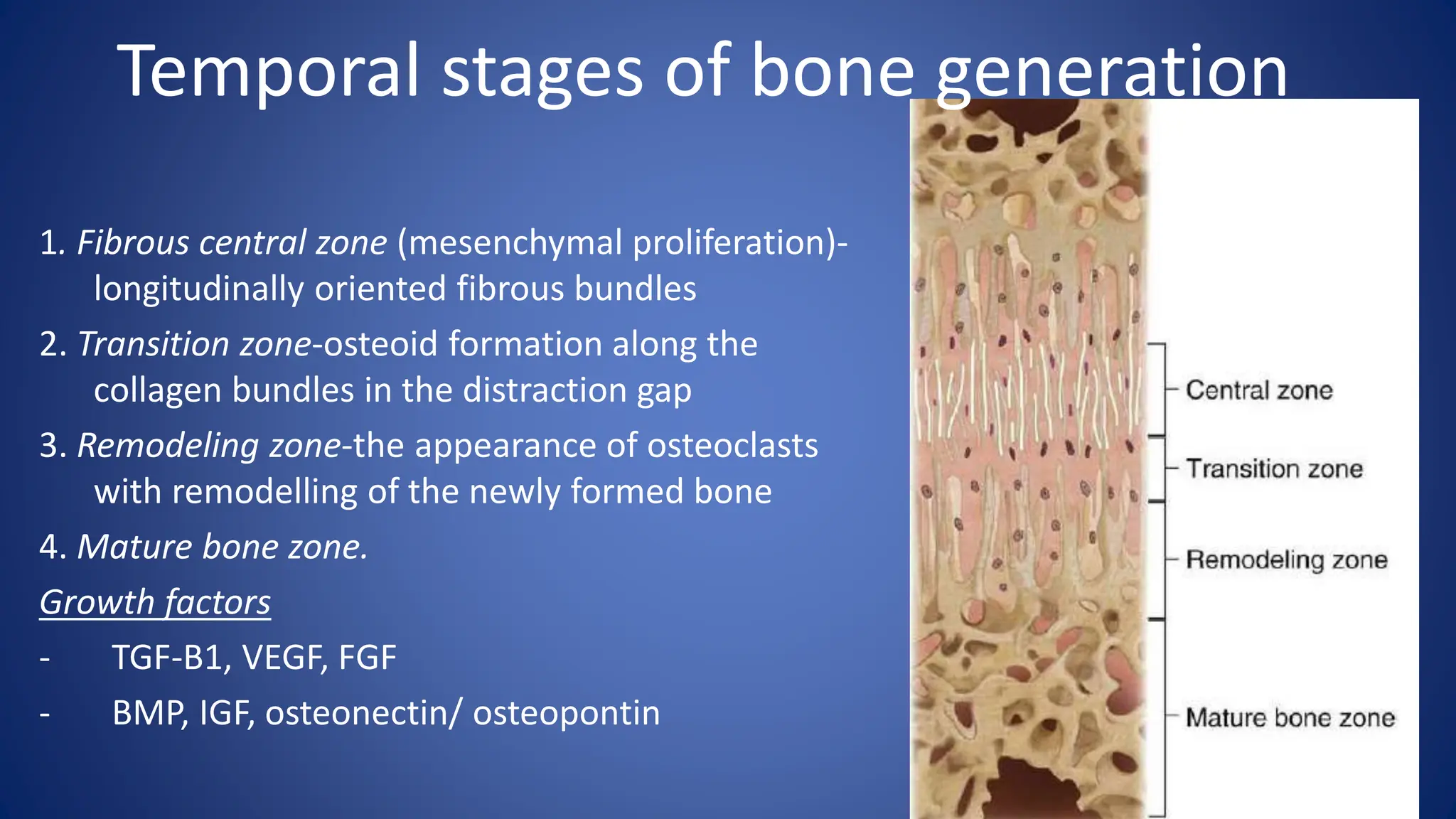 Distraction osteogenesis-Ilizarov AGP.pptx