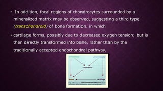 Distraction osteogenesis in maxillofacial surgery | PPTX