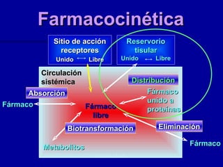 Distribución | PPT