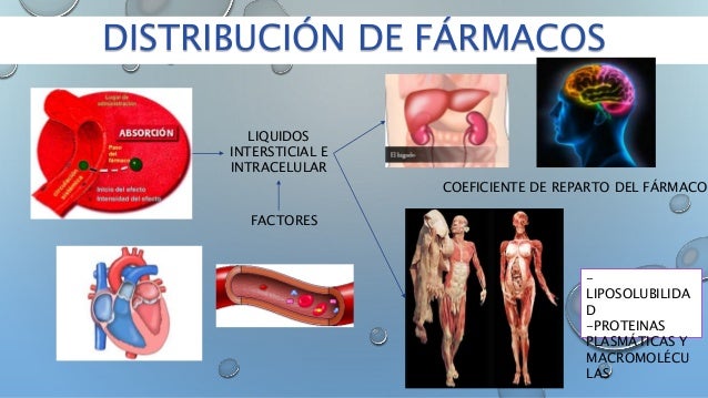 Distribucion de fármacos