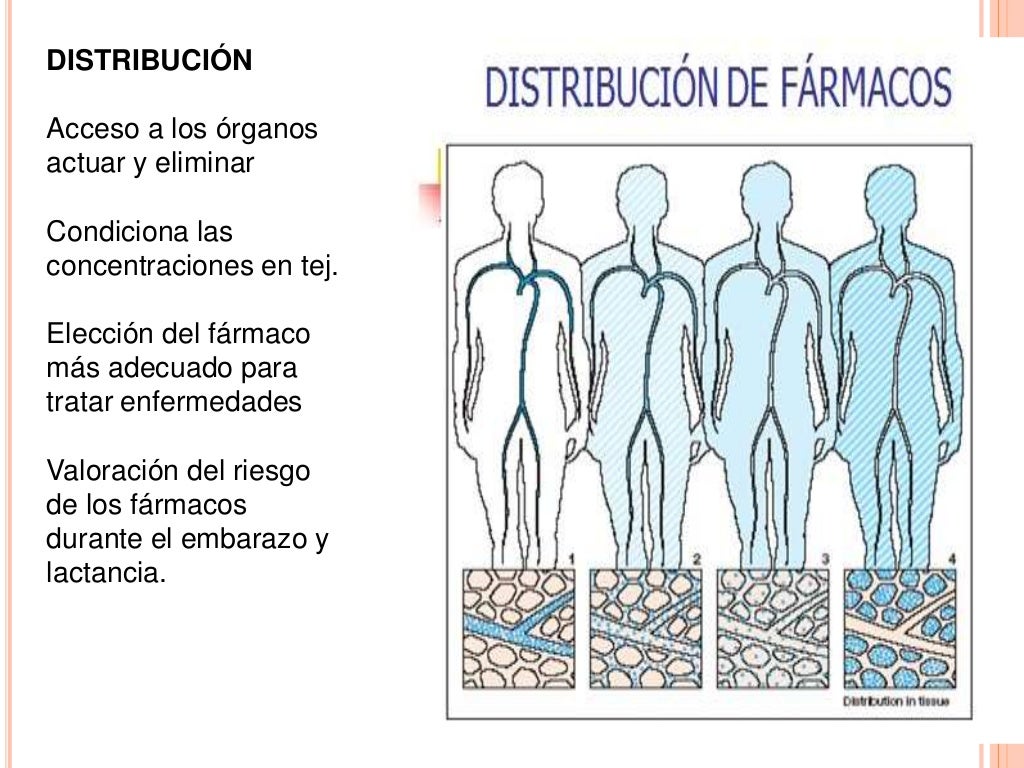 Distribución de los fármacos