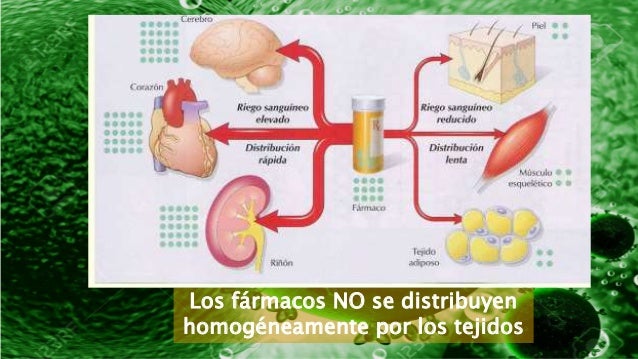 Distribucion de farmacos