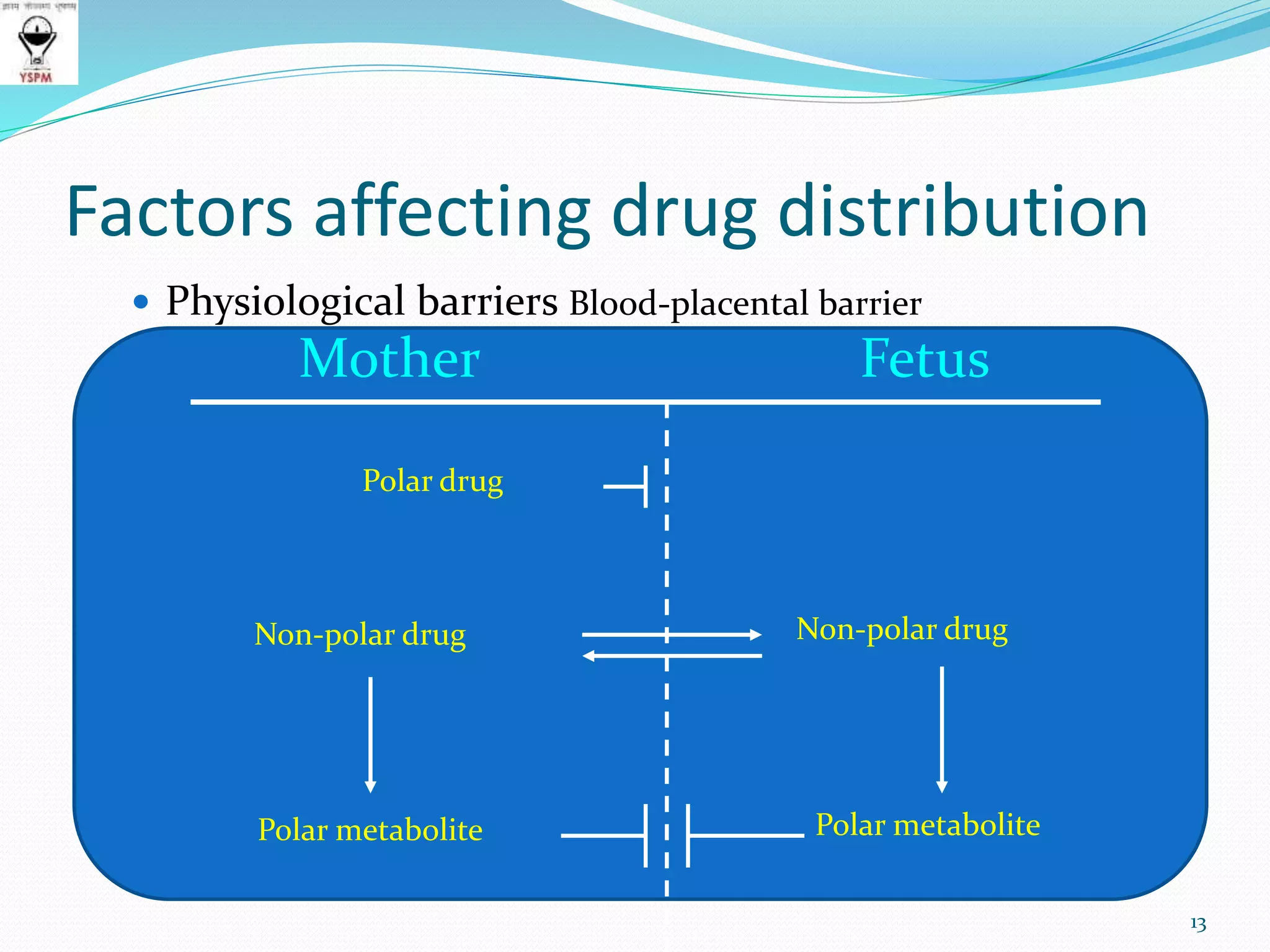 Distribution | PPTX