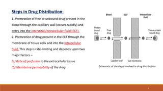 Distribution.pptx