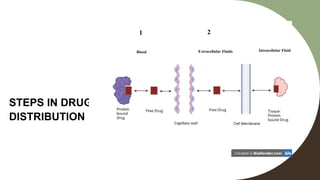 Distribution.pptx