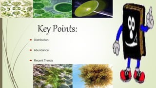 Distribution and abundance of algae | PPTX
