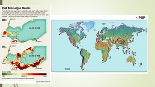 Distribution and abundance of algae | PPTX
