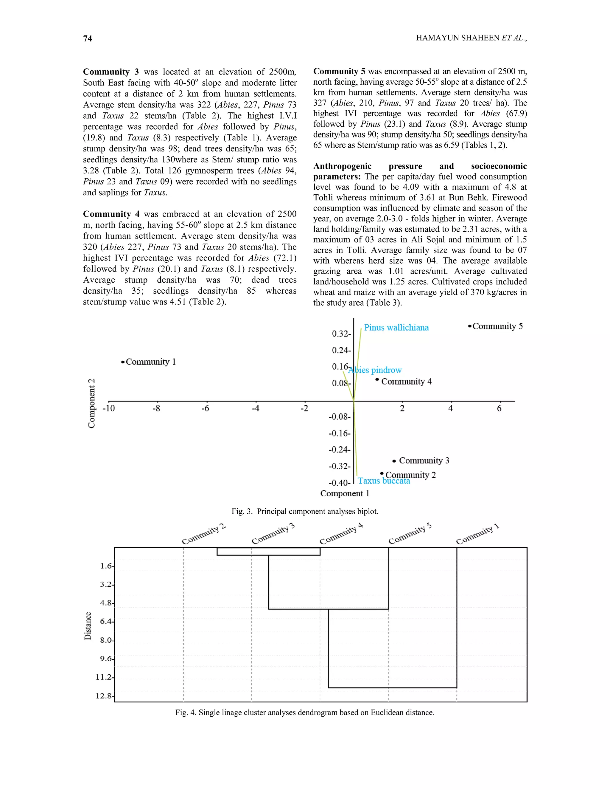 Distribution and structure of conifers with special emphasis on taxus ...