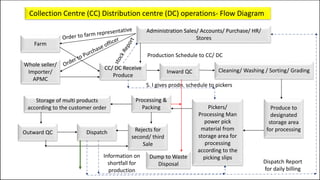 Distribution centre for fruits and vegetables operations | PDF