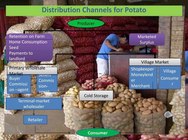 Distribution channels involved in agribusiness | PPTX | Agriculture ...
