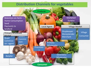 Distribution channels involved in agribusiness | PPTX