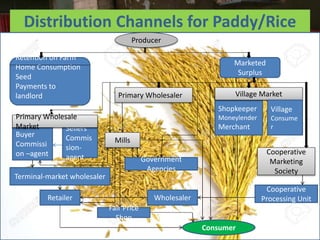 Distribution channels involved in agribusiness | PPTX